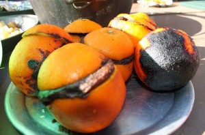 baked-oranges | Sunnytrails Girl Scout Service Unit